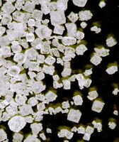 Natriumchlorid CAS 7647-14-5 | 106404